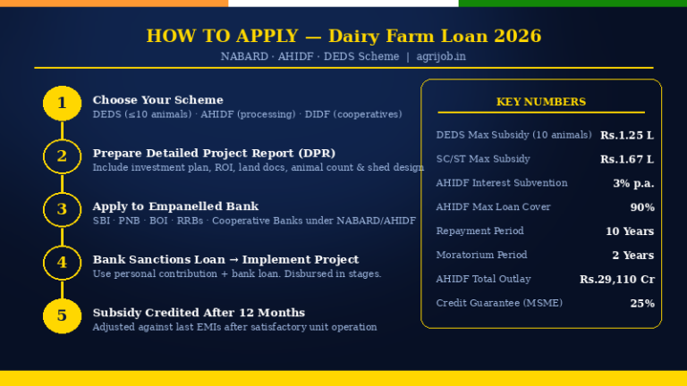 Dairy Farm Loan 2026 – Complete Guide: Subsidy, EMI, Bank & NABARD ...