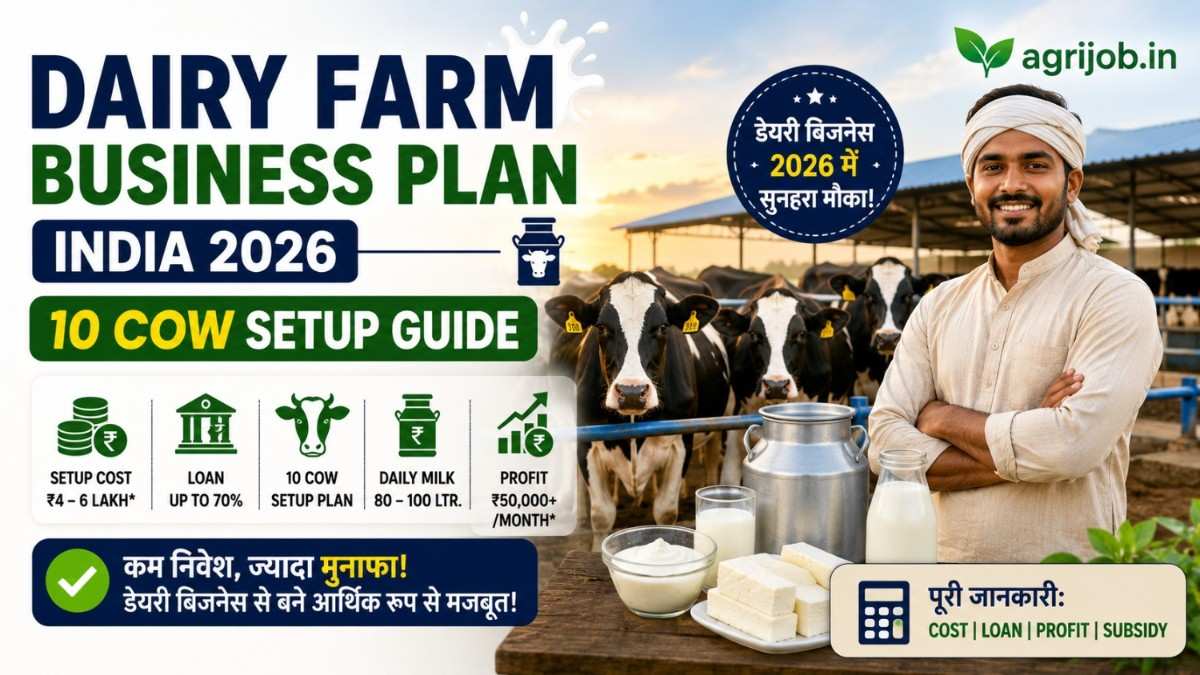 Dairy Farm Business Plan 2026 – Cost, Loan & Profit Guide