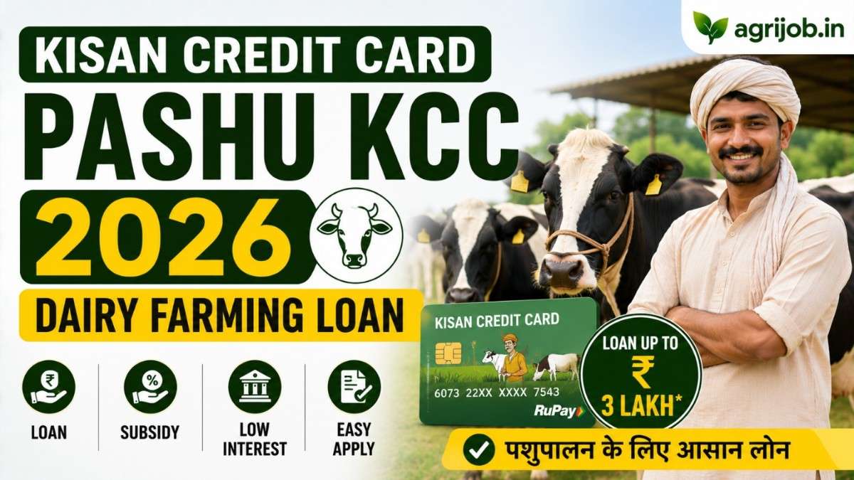 Kisan Credit Card Dairy Farming 2026 - Apply Now