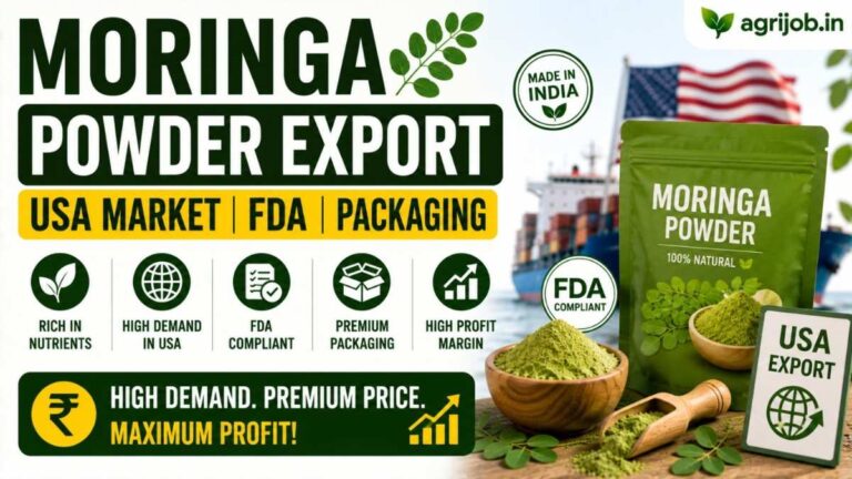 Moringa Powder Export USA 2026: FDA Rules & Profit