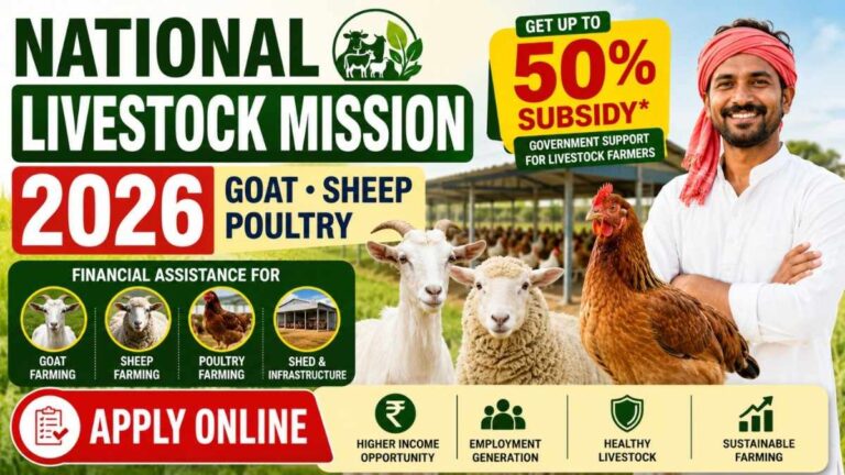 National Livestock Mission 2026 – Rs.50 Lakh Subsidy Apply