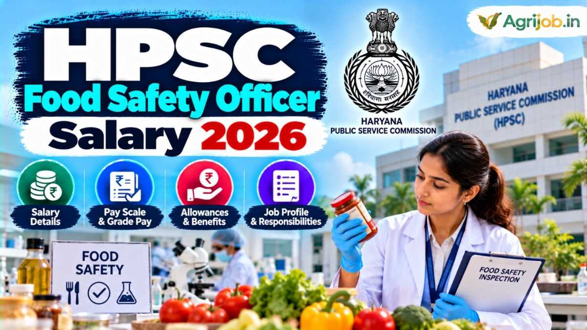 HPSC Food Safety Officer Salary 2026 – Rs.35,400 Pay Scale & Job Profile